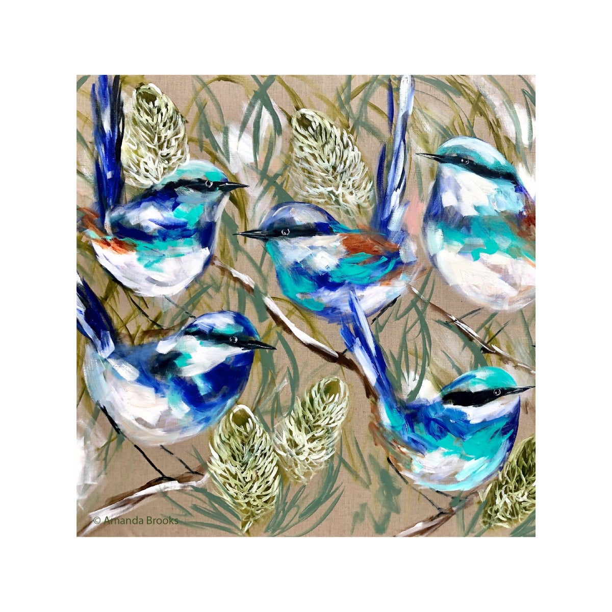 Blue Wren & Banksia Coaster Set 11x11cm Set of 4 Coasters | Lilli Rock ...