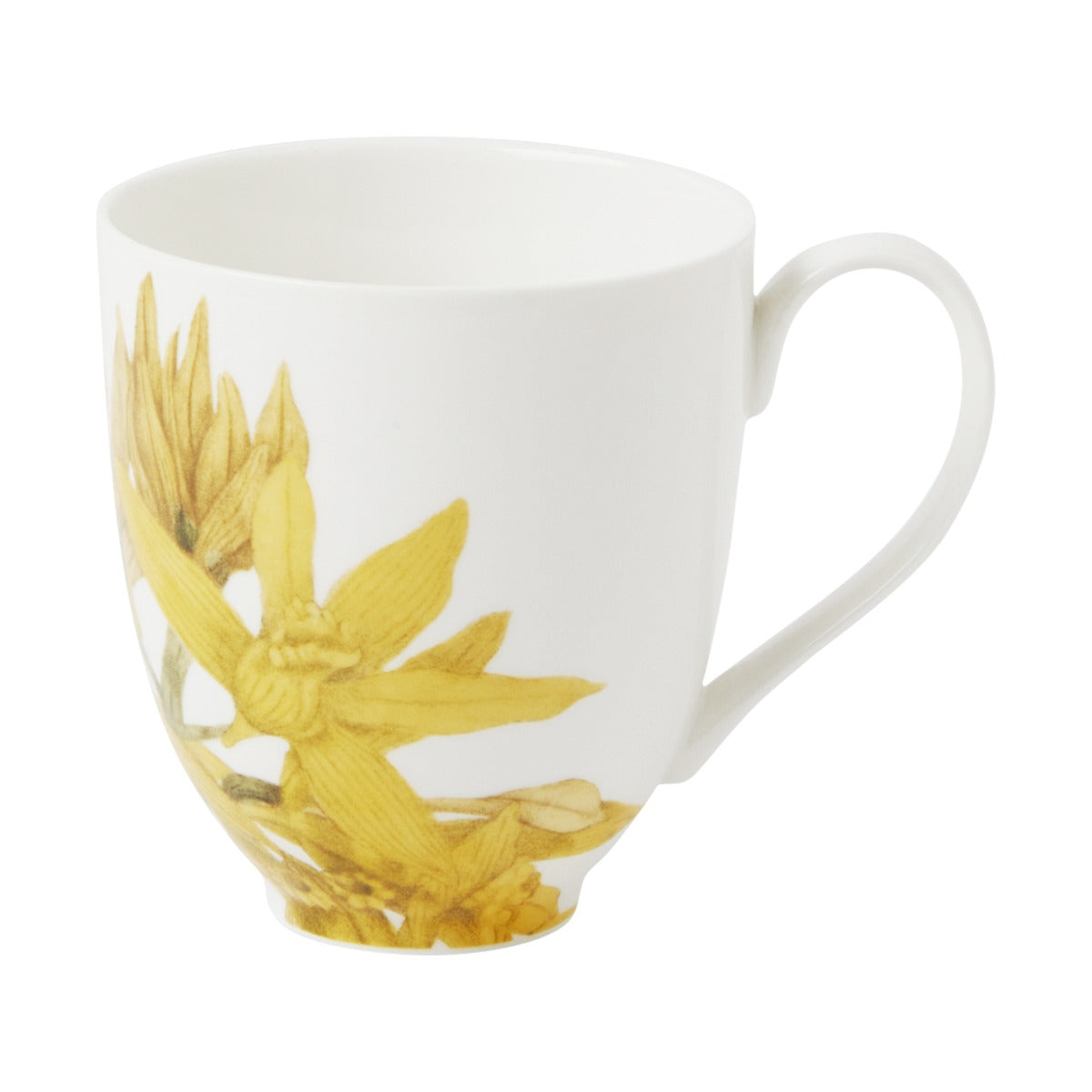 Royal Botanic Gardens Australian Orchids Mug 350ML Yellow | MW | Matchbox